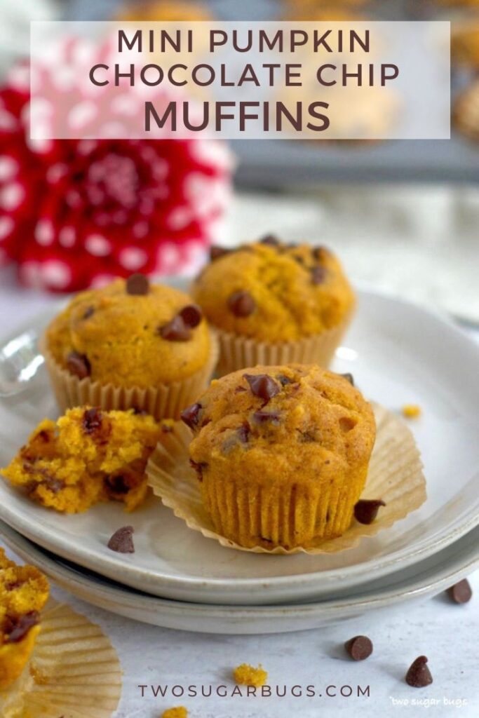 Mini Pumpkin Chocolate Chip Muffins ~ two sugar bugs