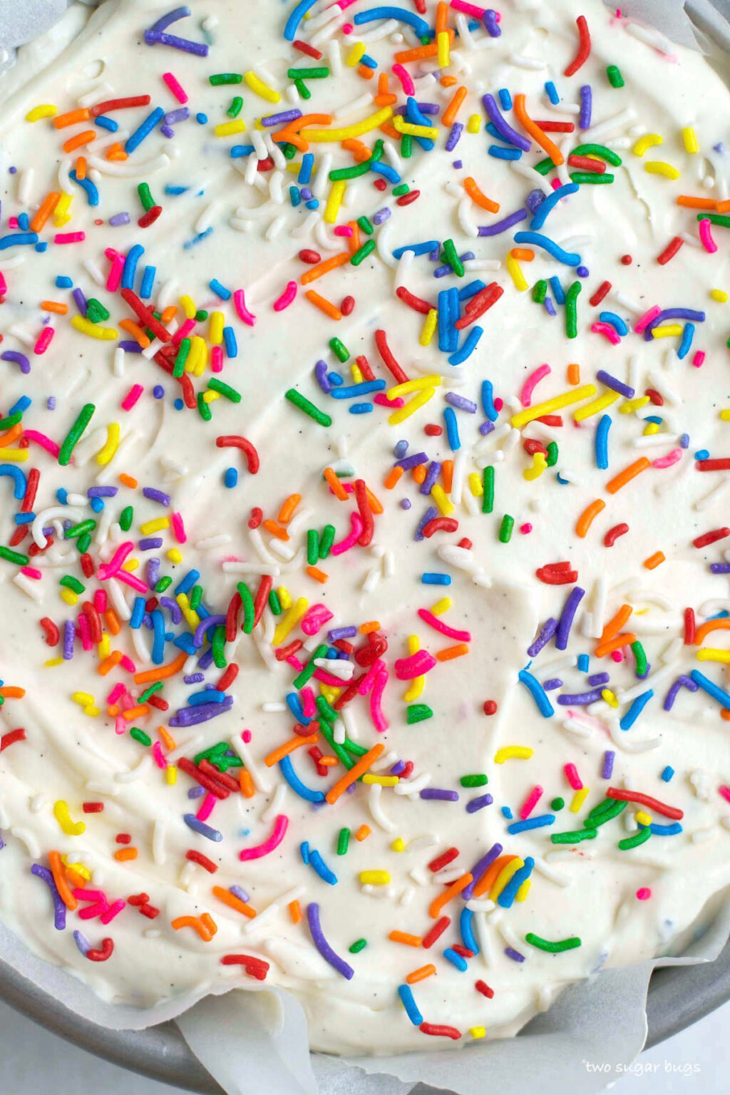 Funfetti Ice Cream Recipe (with no churn method) ~ two sugar bugs