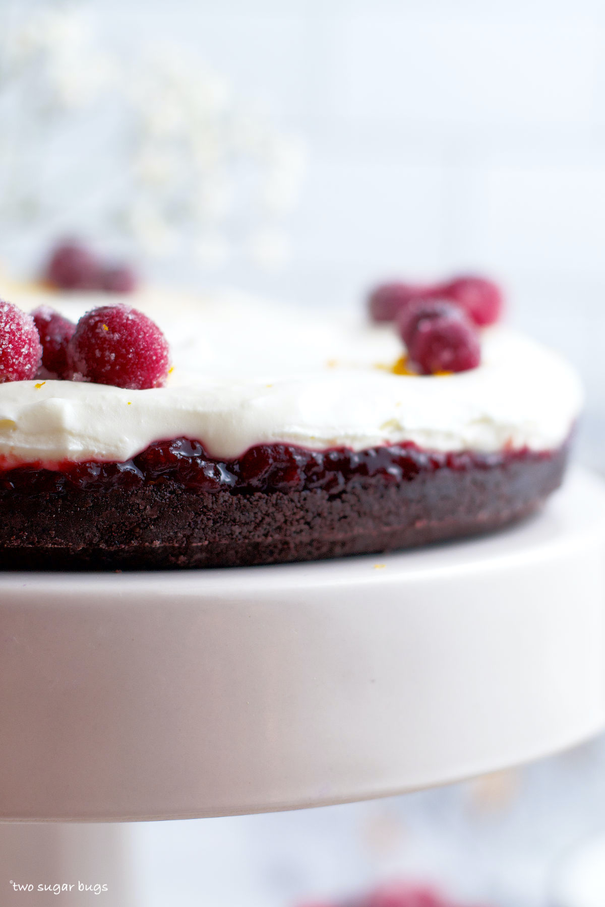 White Chocolate Cranberry Tart {no bake recipe} - two sugar bugs