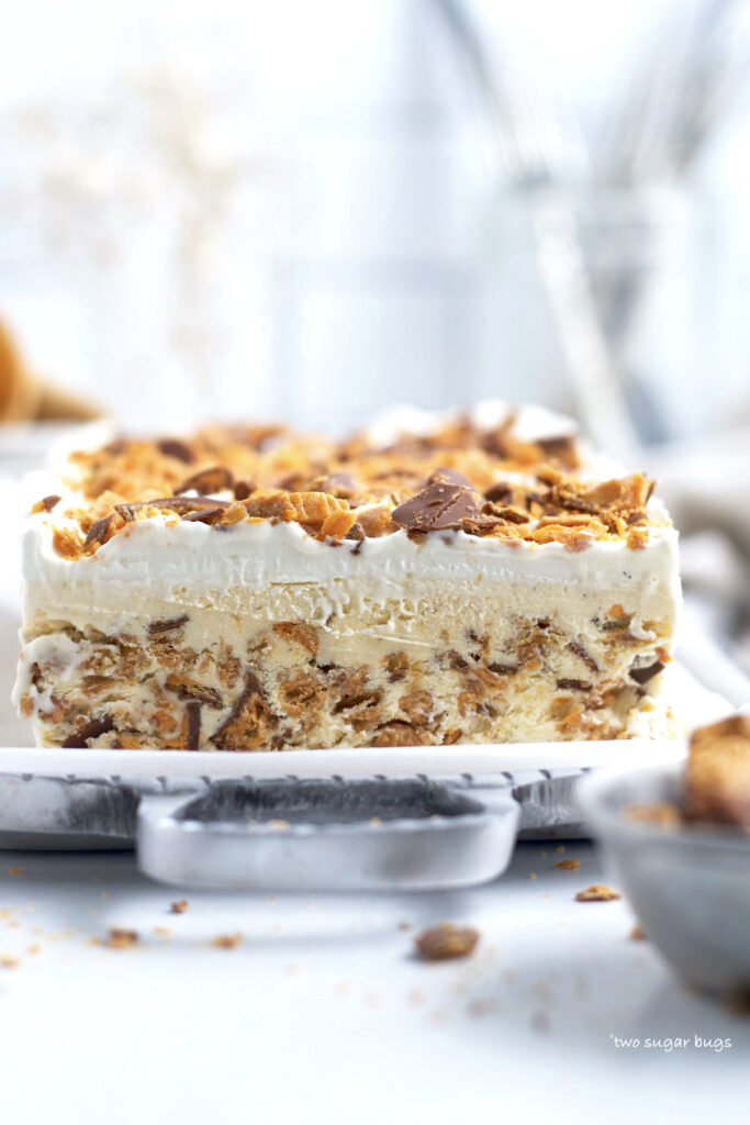 Butterfinger Ice Cream Cake ~ two sugar bugs
