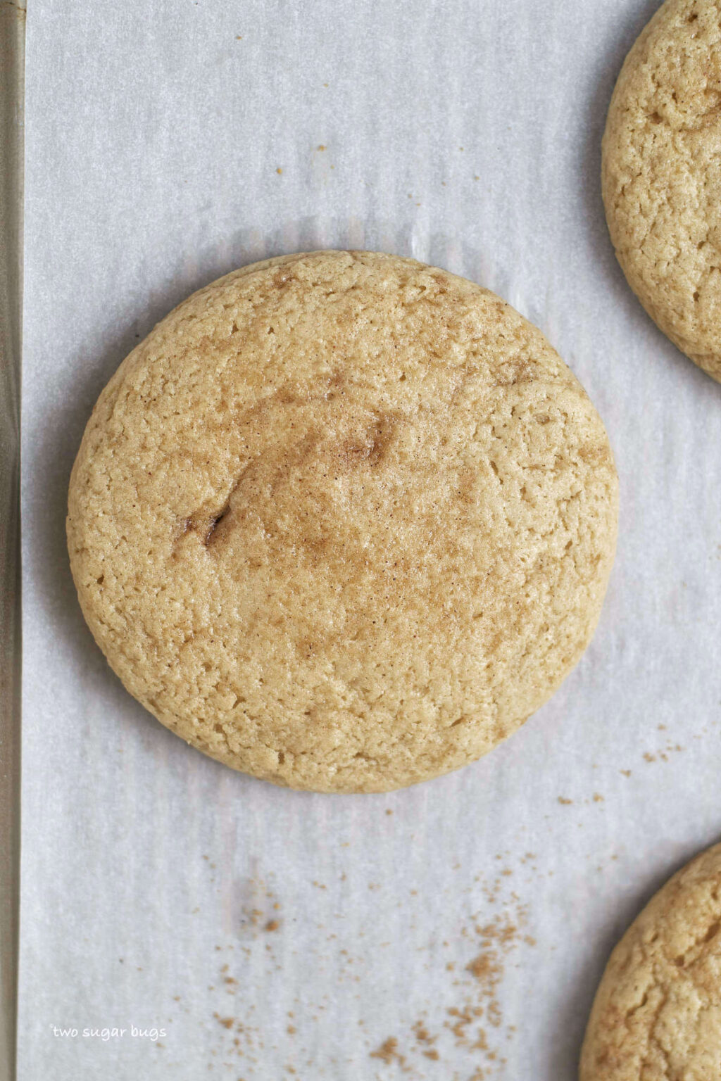 Pop Tart Cookies ~ two sugar bugs