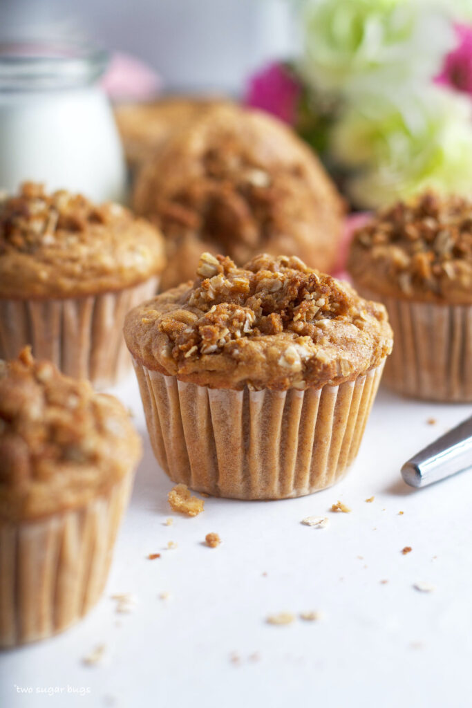 EASY Peanut Butter Muffins ~ two sugar bugs