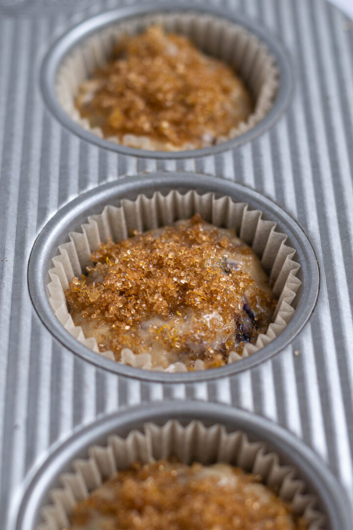 Healthy Lemon Blueberry Muffins ~ two sugar bugs