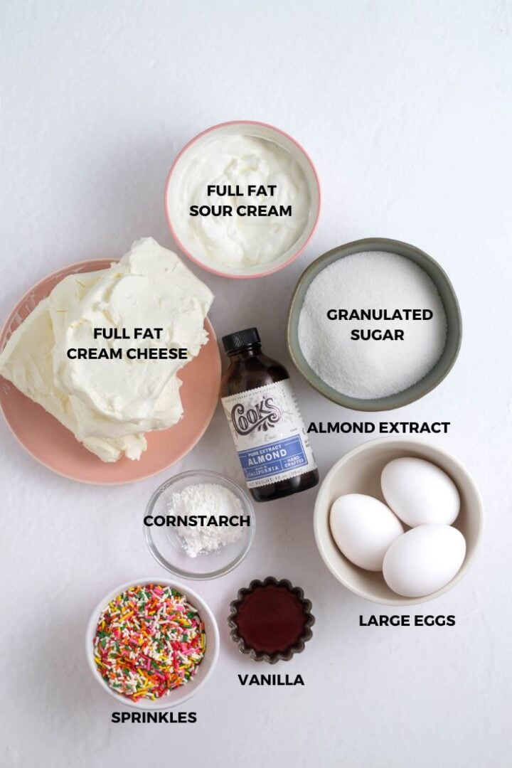 Creamy Birthday Cheesecake ~ two sugar bugs