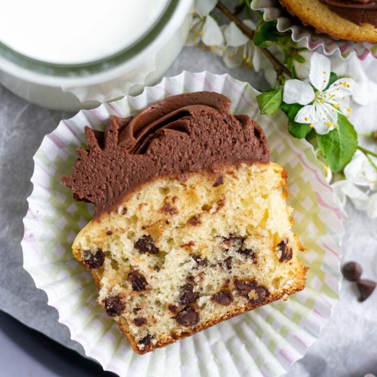 Easy Chocolate Chip Cupcakes two sugar bugs