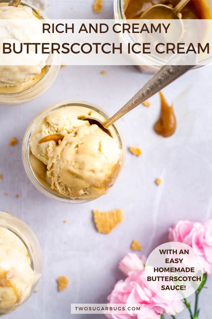 Creamy Butterscotch Ice Cream ~ two sugar bugs