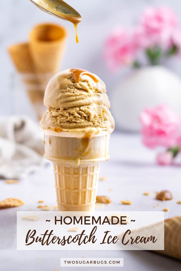 Creamy Butterscotch Ice Cream ~ two sugar bugs