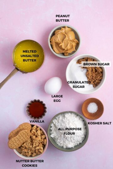 Nutter Butter Bars ~ two sugar bugs