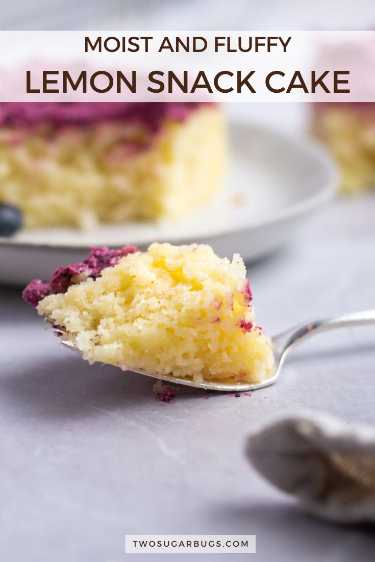 Moist Lemon Snack Cake ~ two sugar bugs