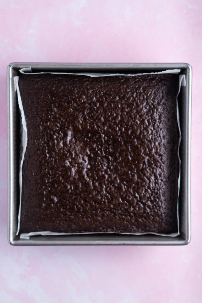 Moist Chocolate Snack Cake ~ two sugar bugs