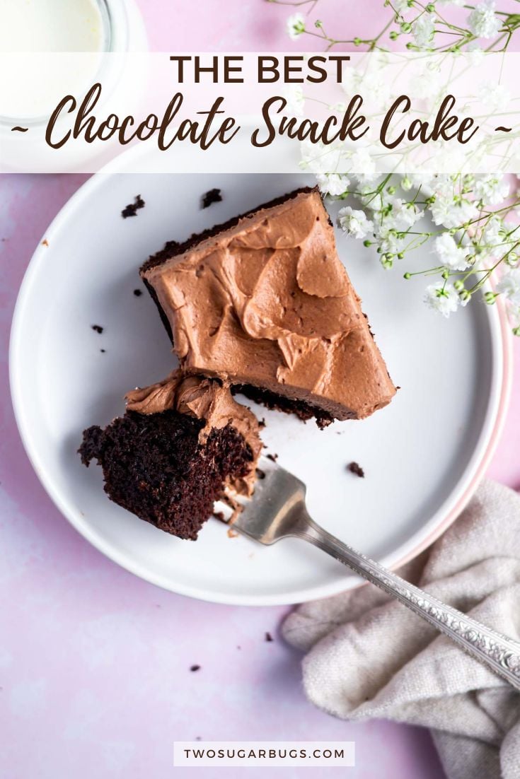 Moist Chocolate Snack Cake ~ two sugar bugs