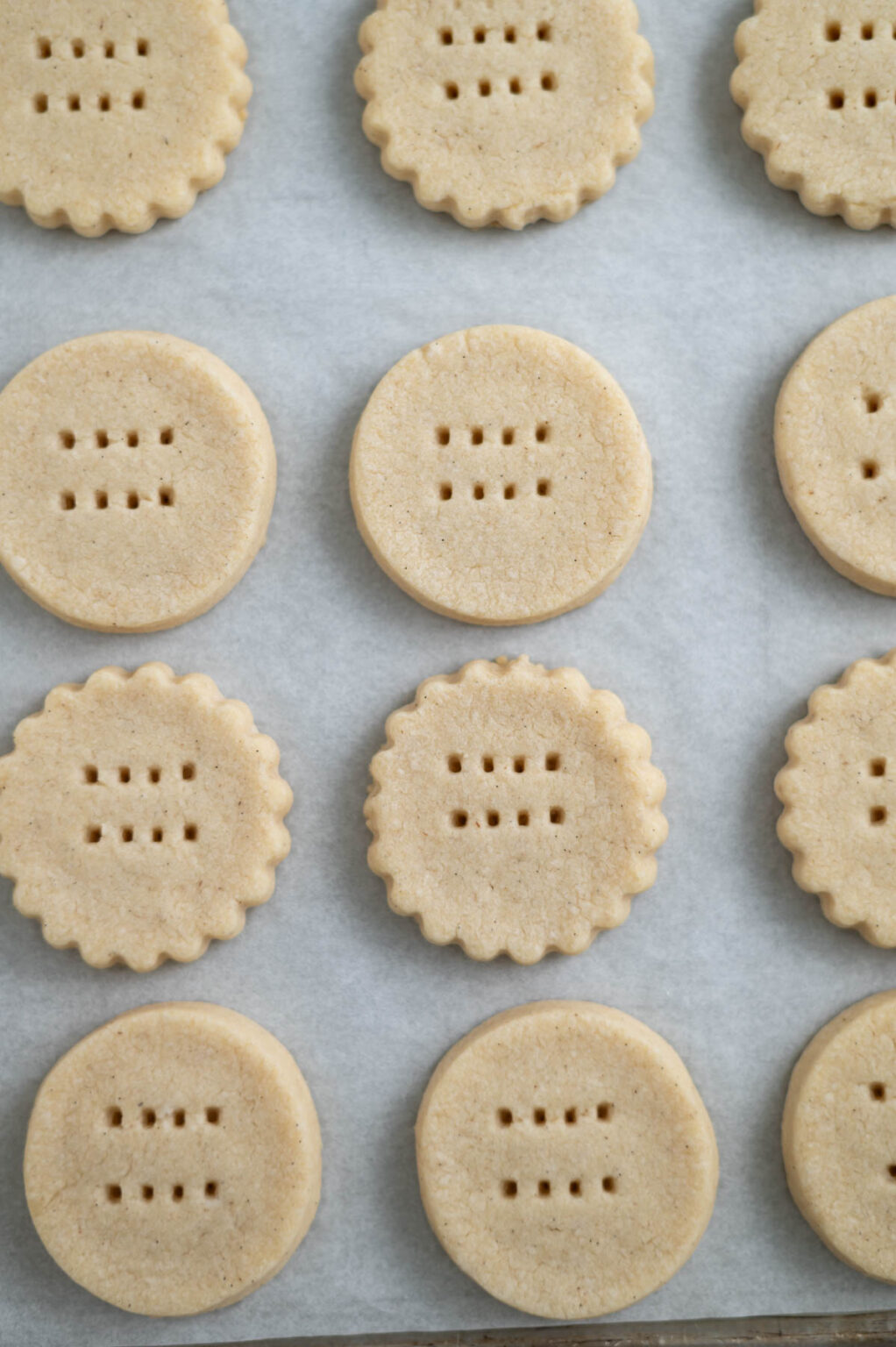 Buttery Vanilla Shortbread Cookies ~ two sugar bugs