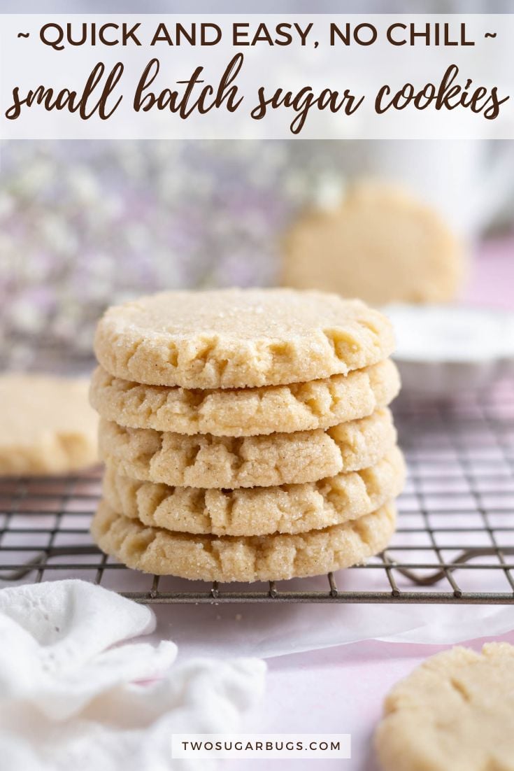 Soft and Chewy Small Batch Sugar Cookies ~ two sugar bugs