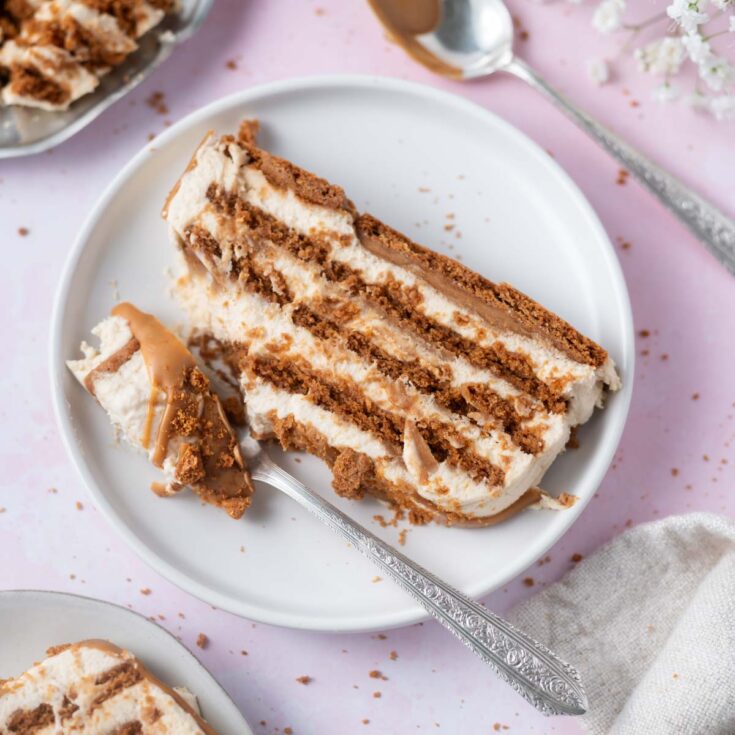 Biscoff Icebox Cake {Simple No Bake Recipe} ~ two sugar bugs