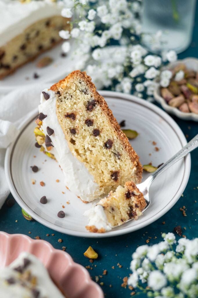 Simple One Layer Cannoli Cake ~ two sugar bugs