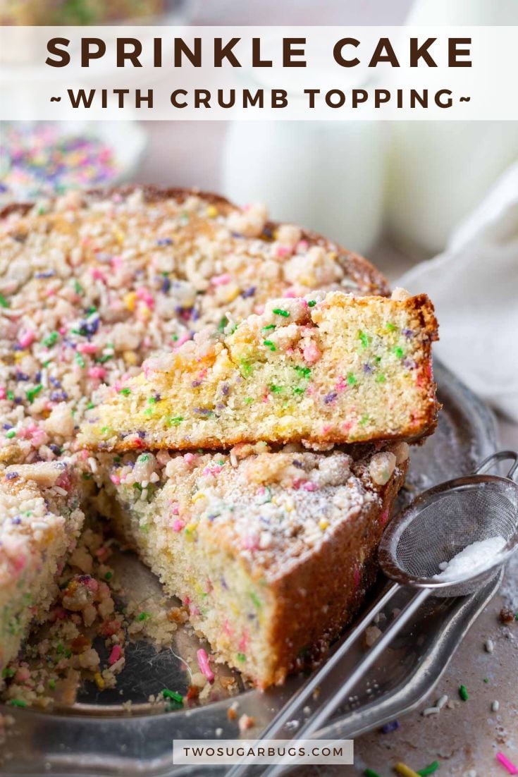 Easy One Layer Sprinkle Cake ~ two sugar bugs
