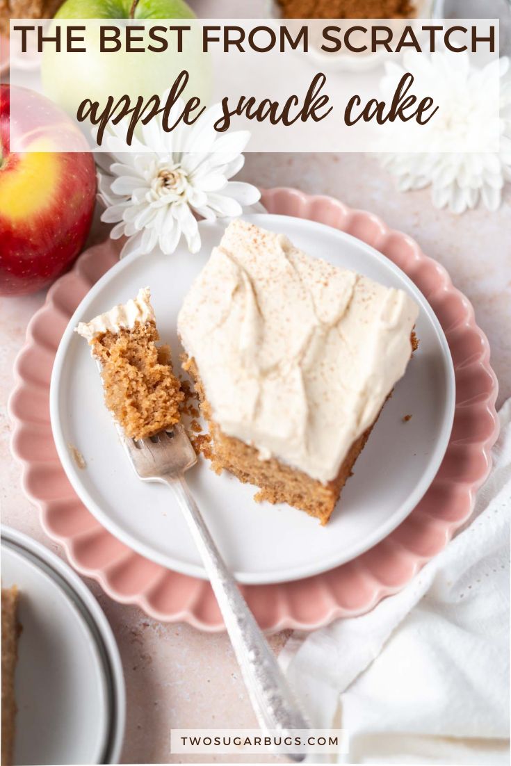Moist Apple Snack Cake {with Apple Cider} ~ two sugar bugs