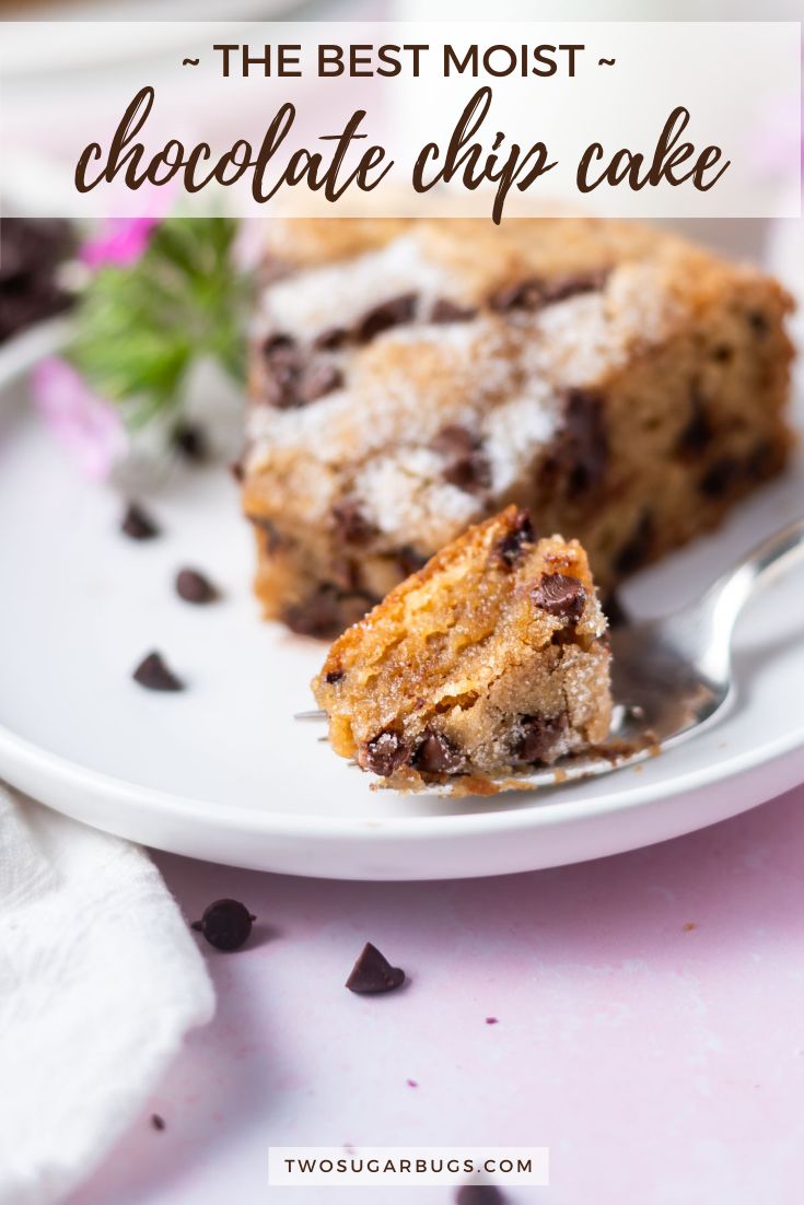 Moist Chocolate Chip Snack Cake ~ two sugar bugs