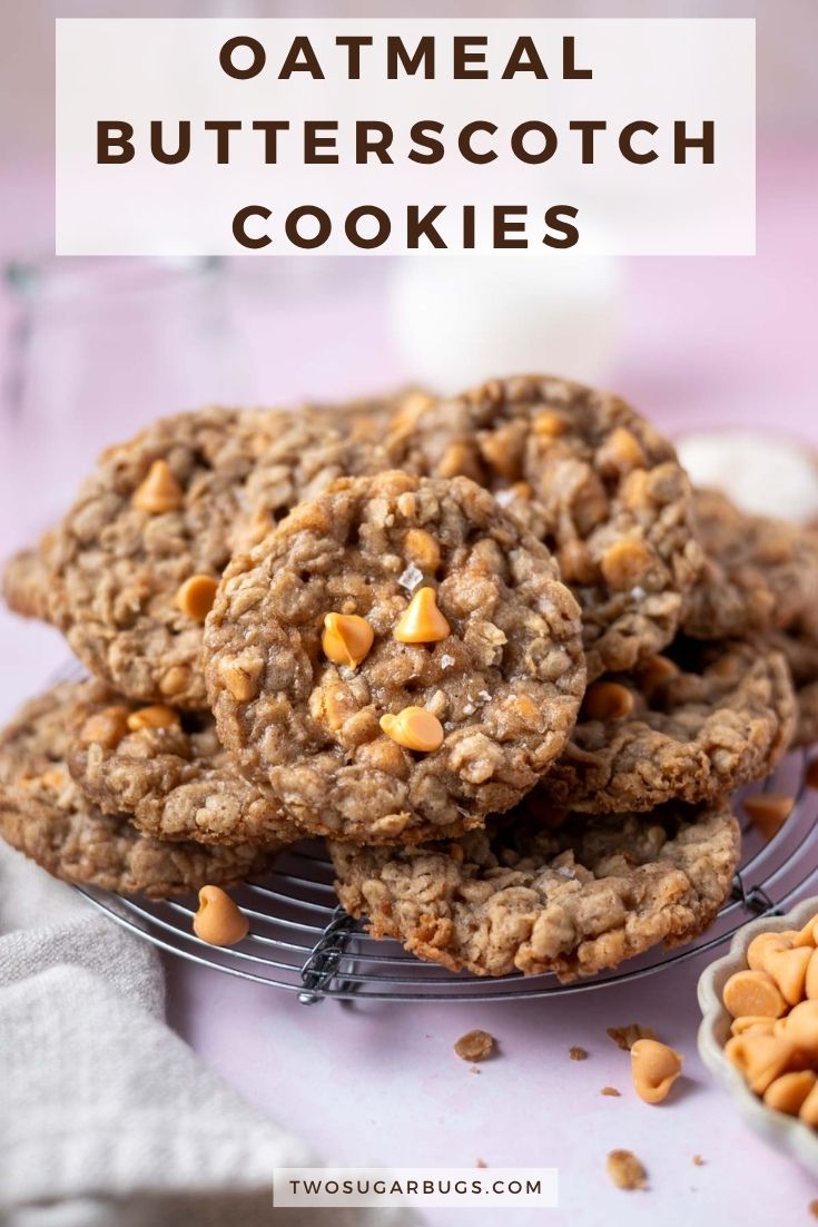 Chewy Oatmeal Butterscotch Cookies ~ two sugar bugs