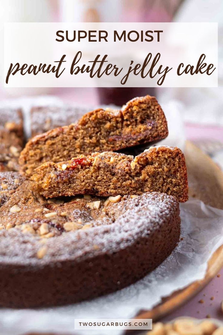 Quick and Easy Peanut Butter and Jelly Cake ~ two sugar bugs