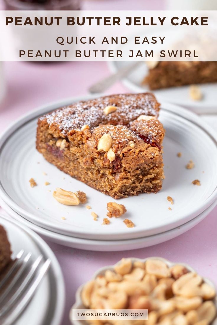 Quick and Easy Peanut Butter and Jelly Cake ~ two sugar bugs