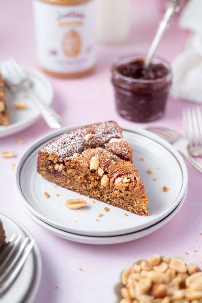 Quick and Easy Peanut Butter and Jelly Cake ~ two sugar bugs